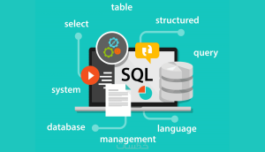 كل ما تريد معرفته عن SQL